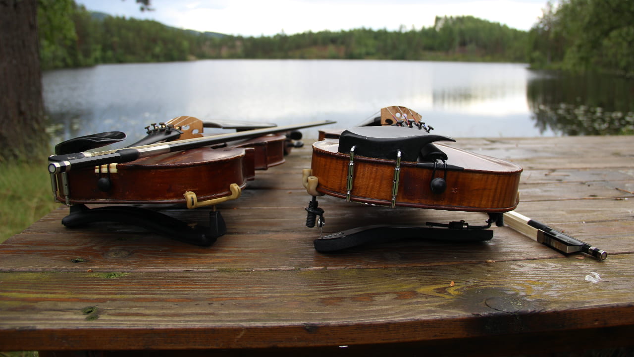 10 Best Violin Shoulder Rests: Reviews & Guide [2022] - Musiq 360